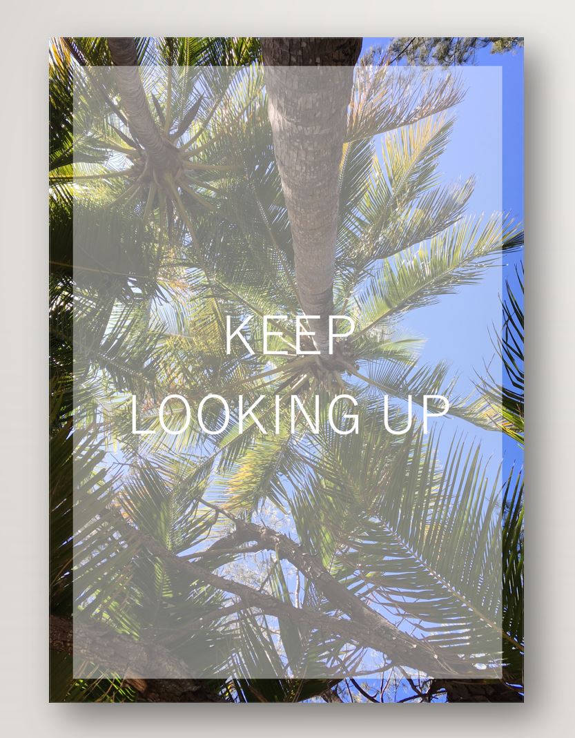 Keep Looking Up – Wall Art Art Art