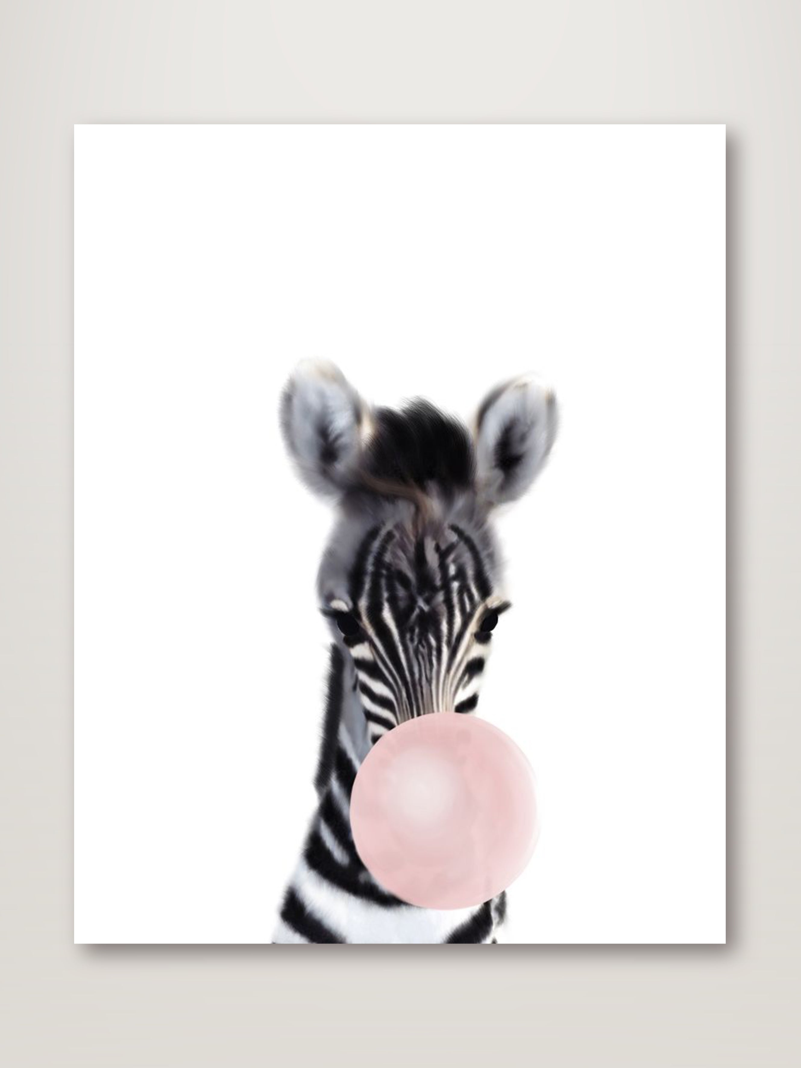Baby Zebra Bubble Gum – Wall Art Art Art